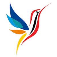 Home - Color of Hope